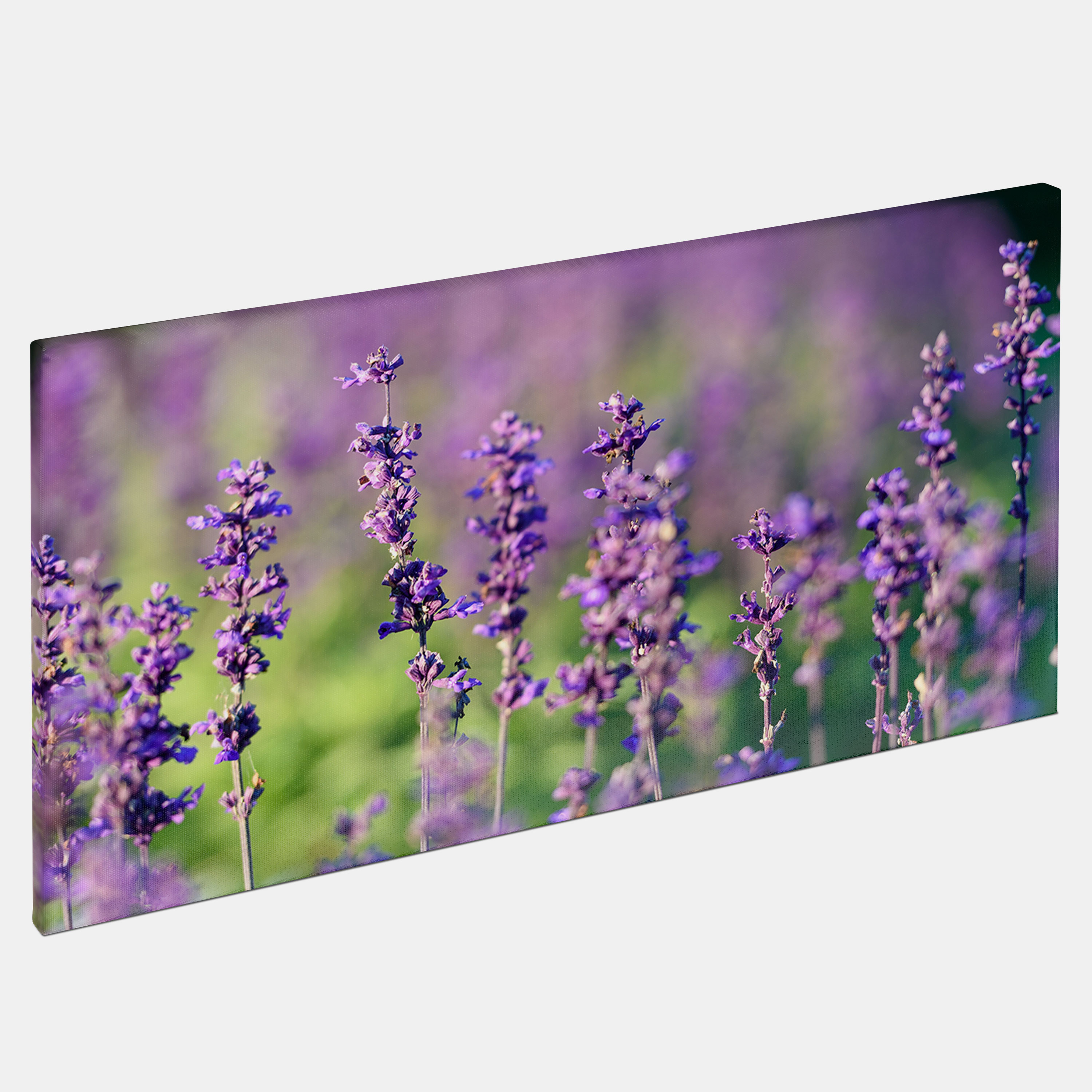 Leinwand 50 x 100 Quer | i-Port